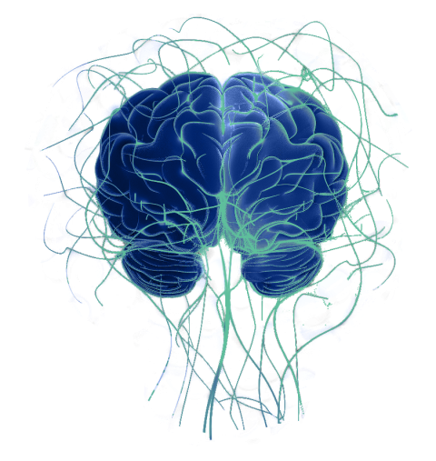 neuroHealth Referral Portal - neuroTree