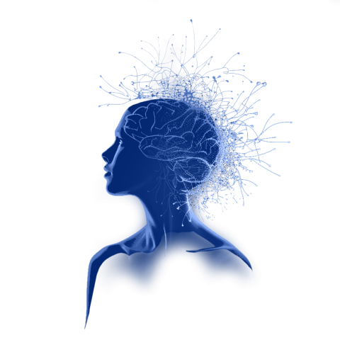 neuroVive Referral Portal - neuroTree